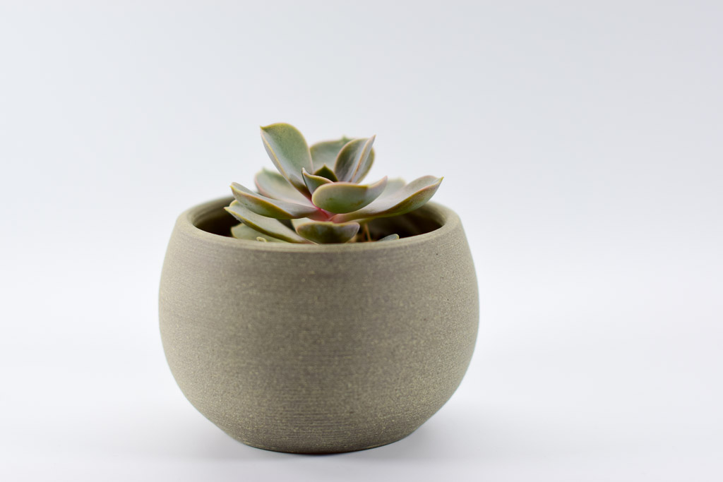 Belle, from the Raw collection | PINE SG