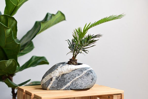 Cobble II, from the Raw collection | PINE SG